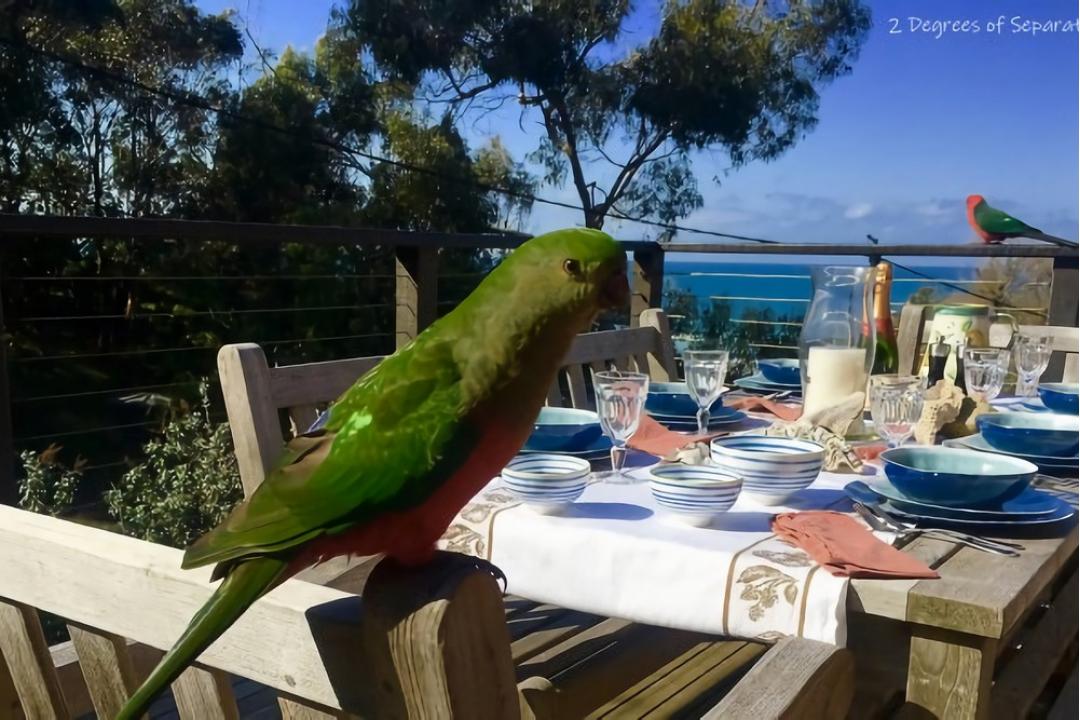 Holiday Great Ocean Road Official Site - 2 Degrees of Separation